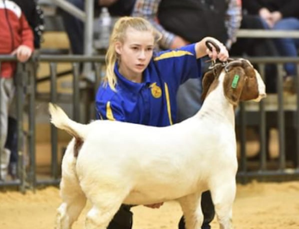 Altus’ Carlee Miller – FFA Spotlight – Presented by OK AgCredit – Altus ...